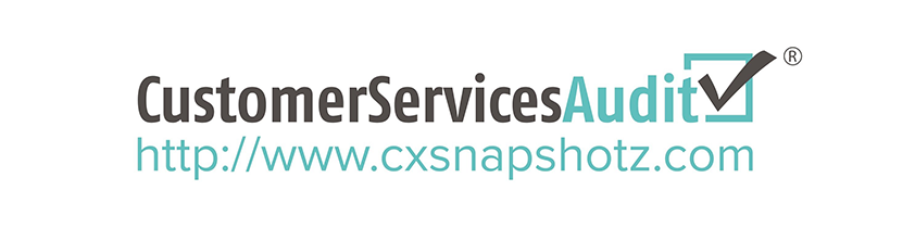 Customer Services Audit | Verint