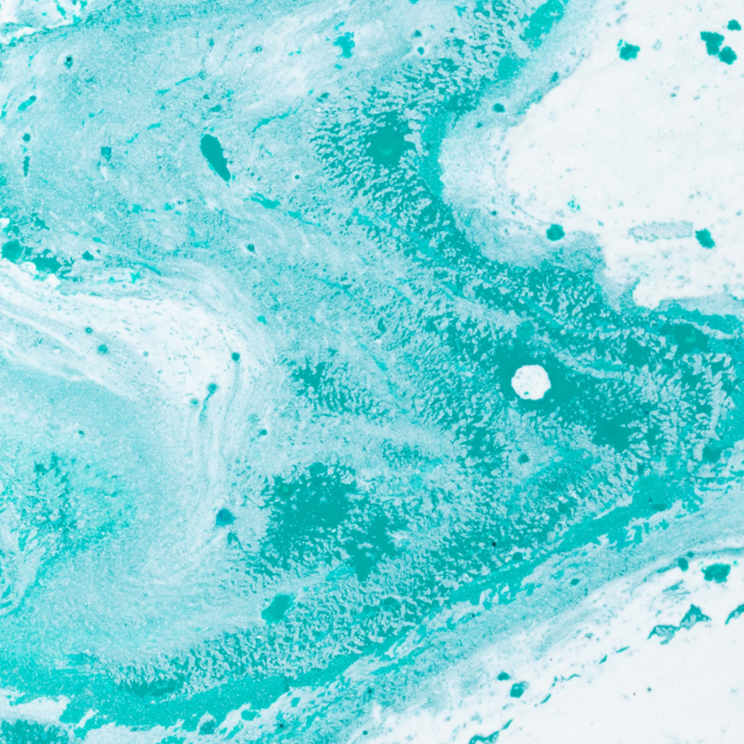 Solutions for 311 | Verint