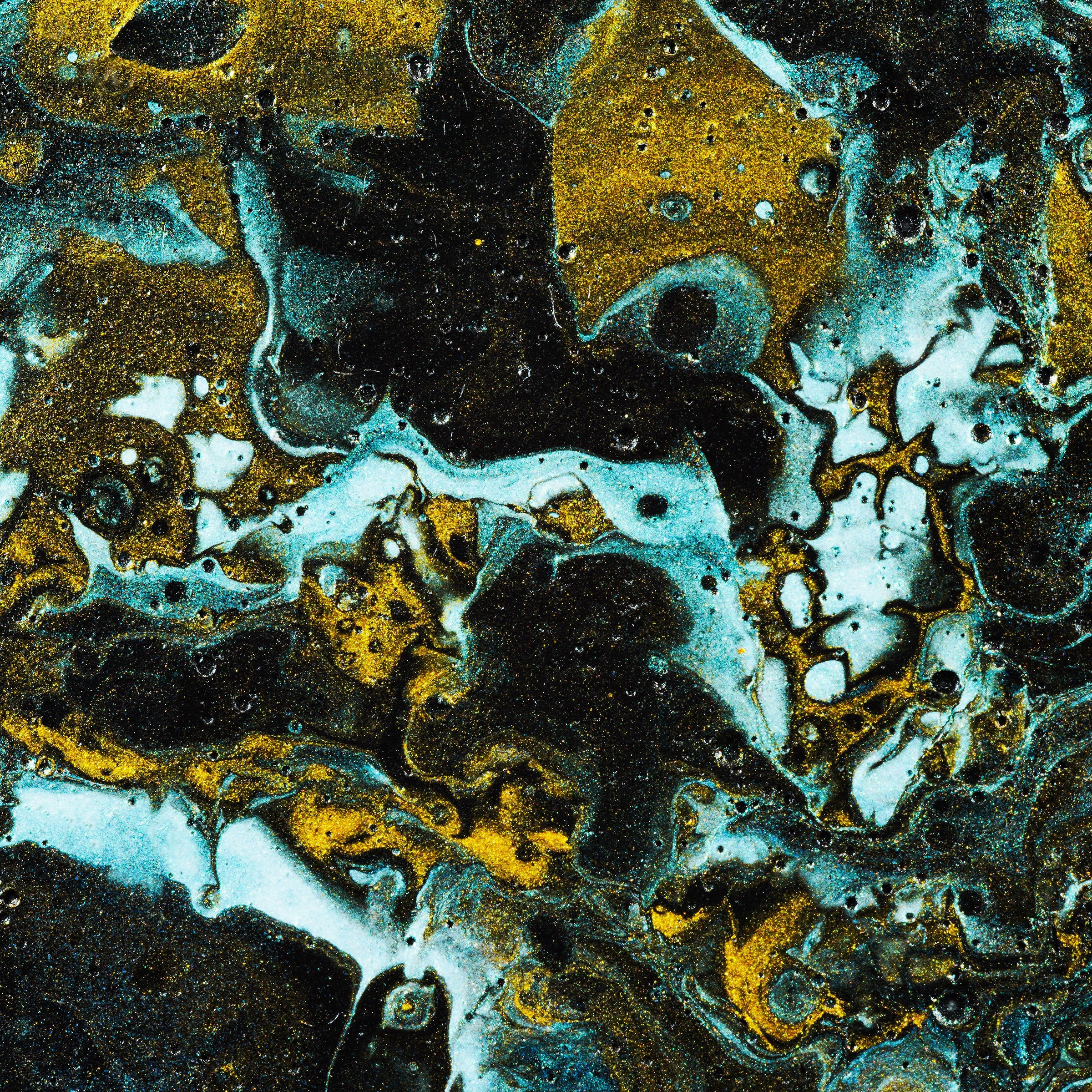 Support - Video & Fraud Security | Verint