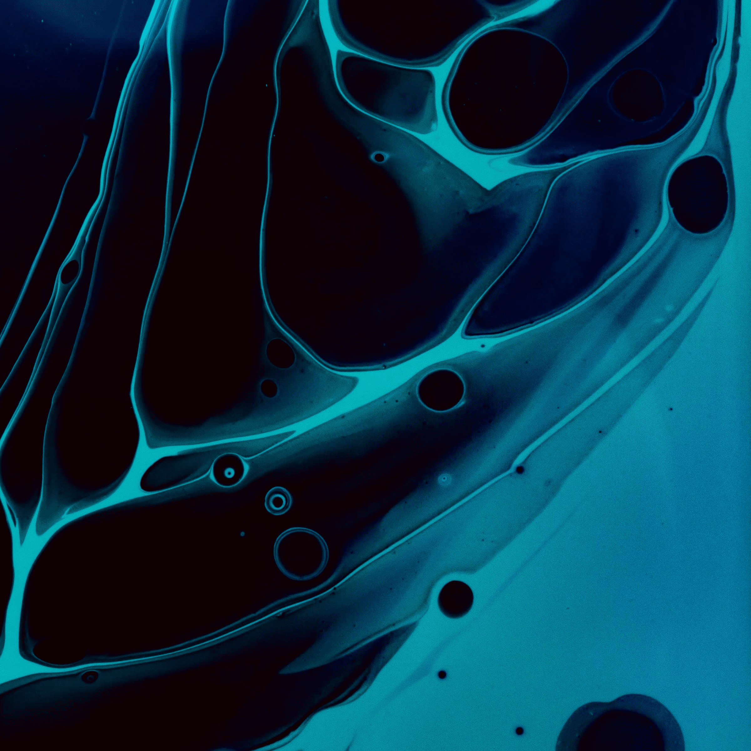 Verint Community Platform | Verint