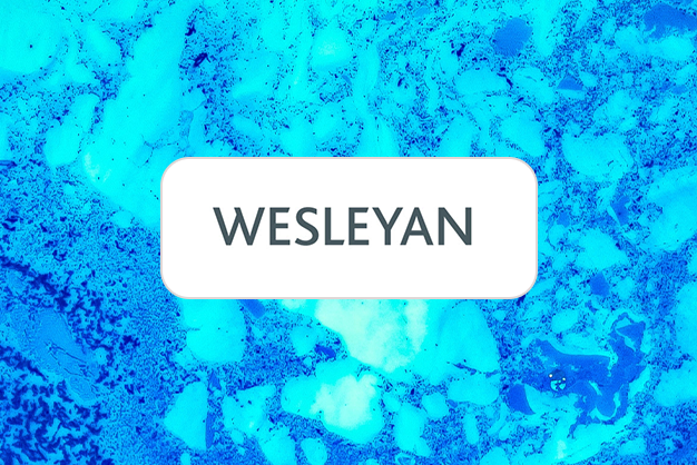 CX Automation for Insurance - Verint